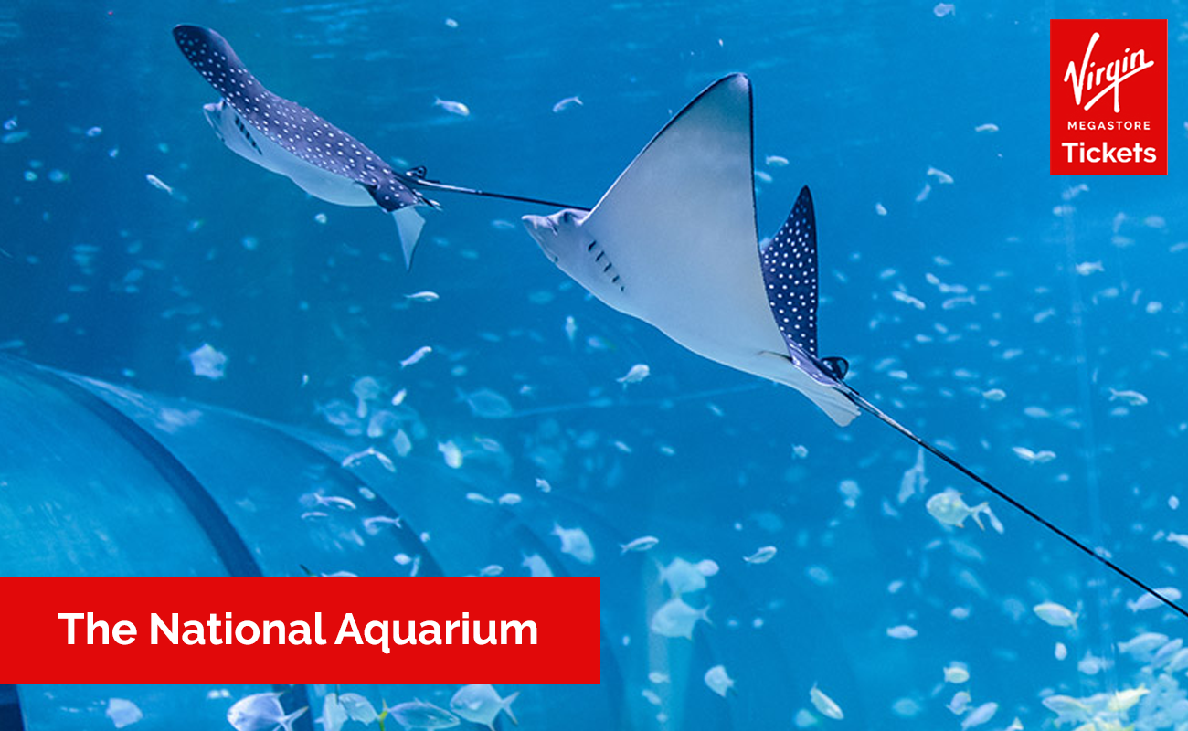 Experiences & Attractions UAE | Virgin Megastore Tickets