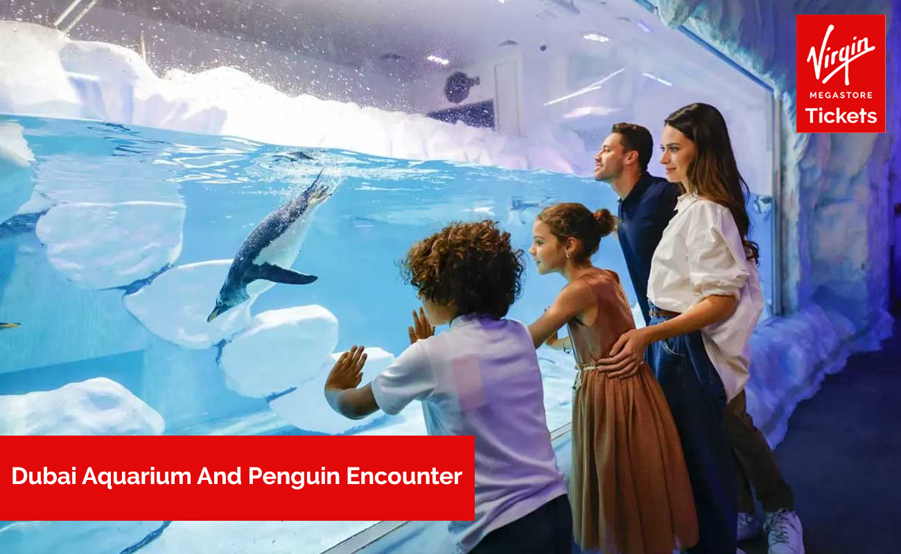 Experiences & Attractions UAE | Virgin Megastore Tickets