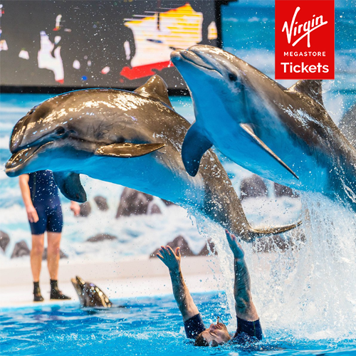 Experiences & Attractions UAE | Virgin Megastore Tickets